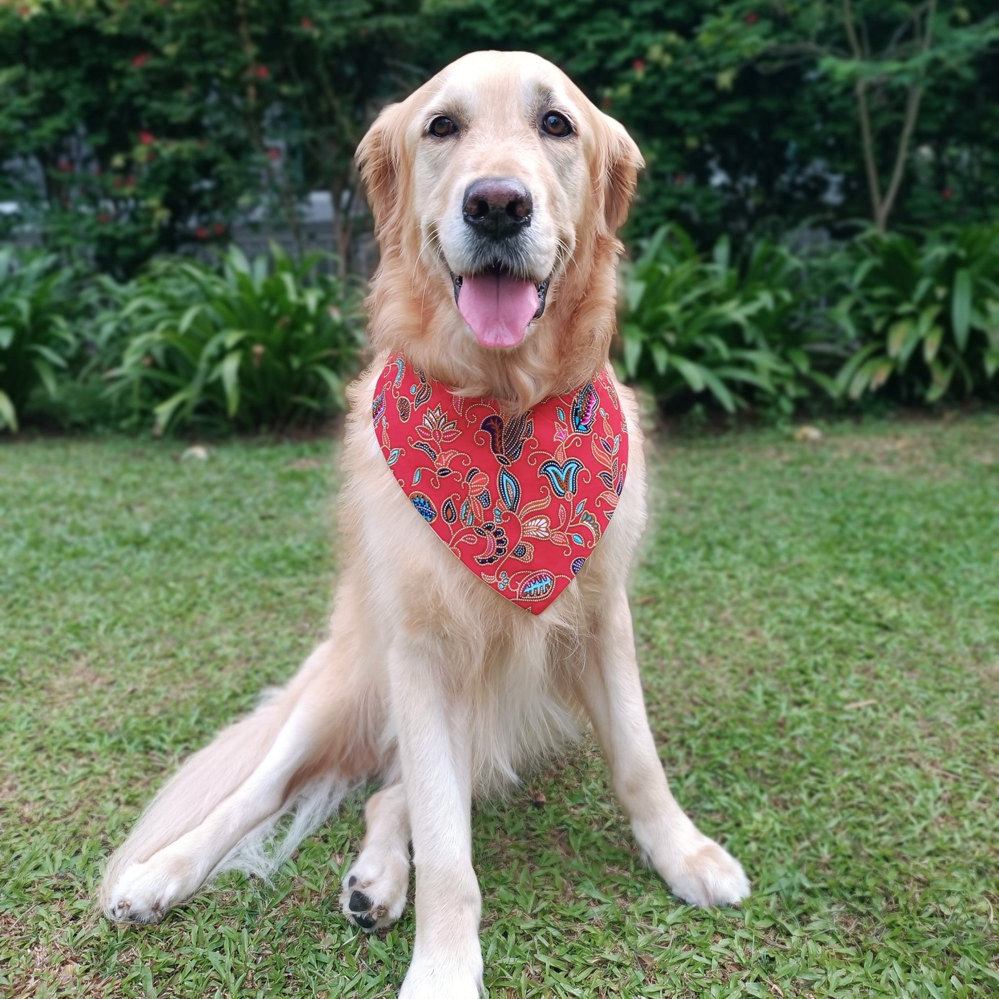 Batik Bandana - Red – RuffCo