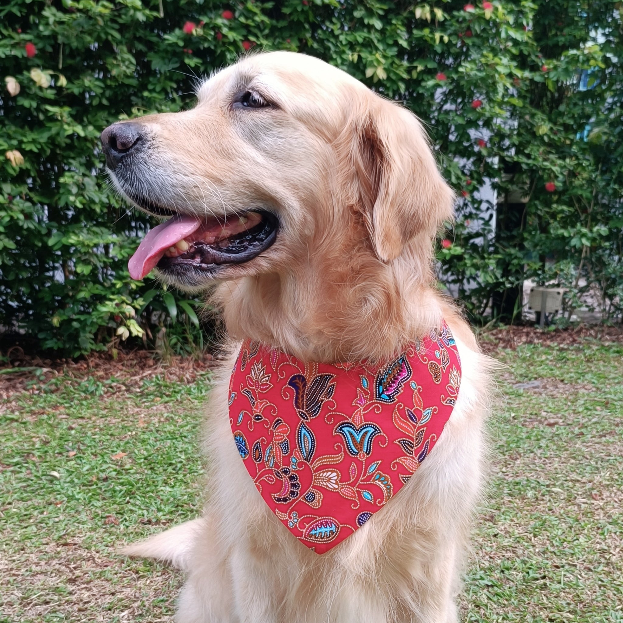 Batik Bandana - Red – RuffCo